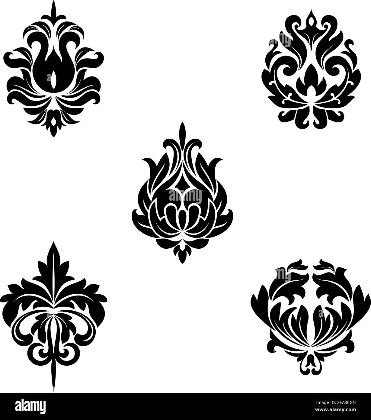 Black flower patterns for design and ornate Stock Vector Image & Art ...