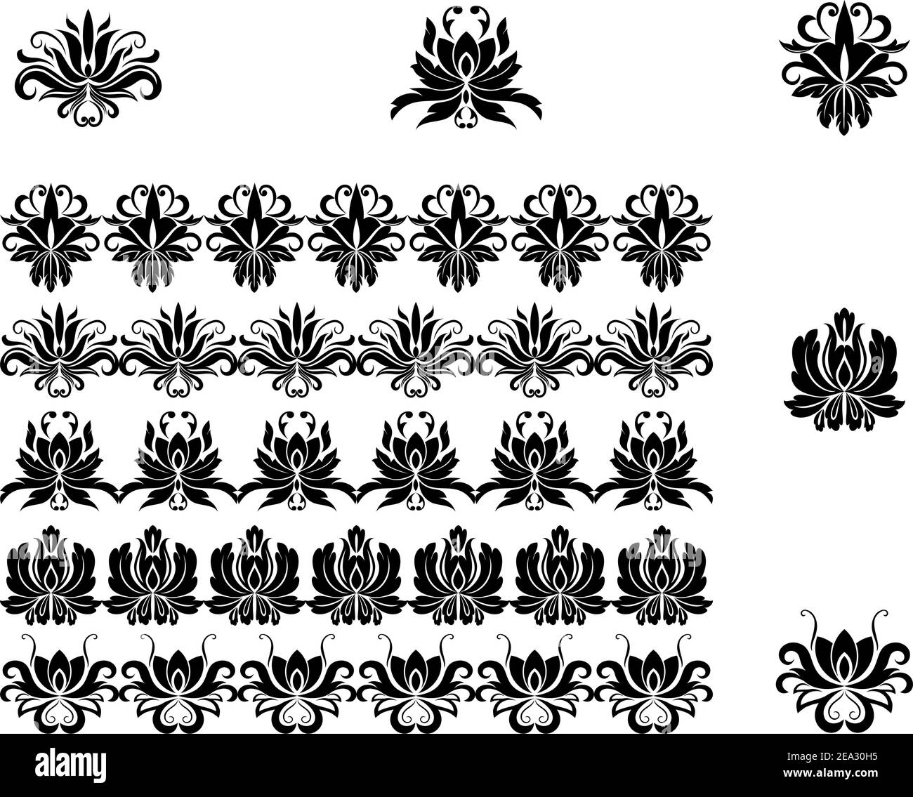Flower patterns and borders for design and ornate Stock Vector Image ...