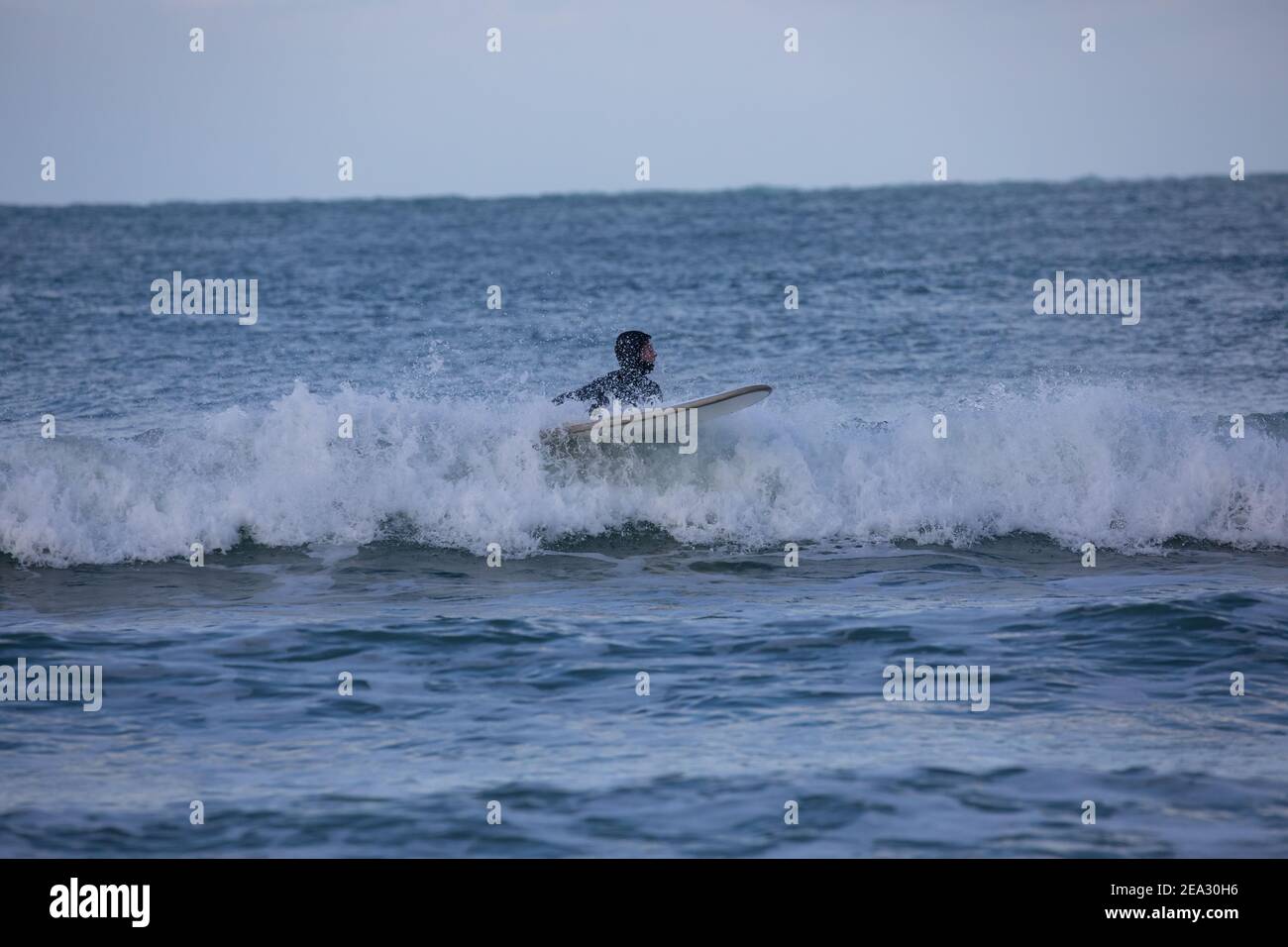 Surfers seen from St Gothian Sands in Cornwall, UK Stock Photo - Alamy