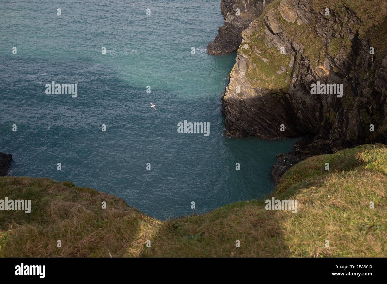 View of the Celtic Sea and cliffs from the South West Coast Path in Cornwall, UK Stock Photo - Alamy