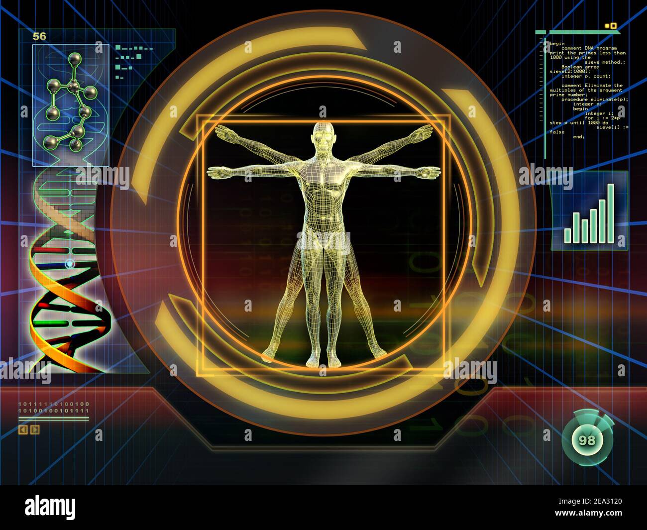 Image of an ideal figure male analyzed by an high technology software ...