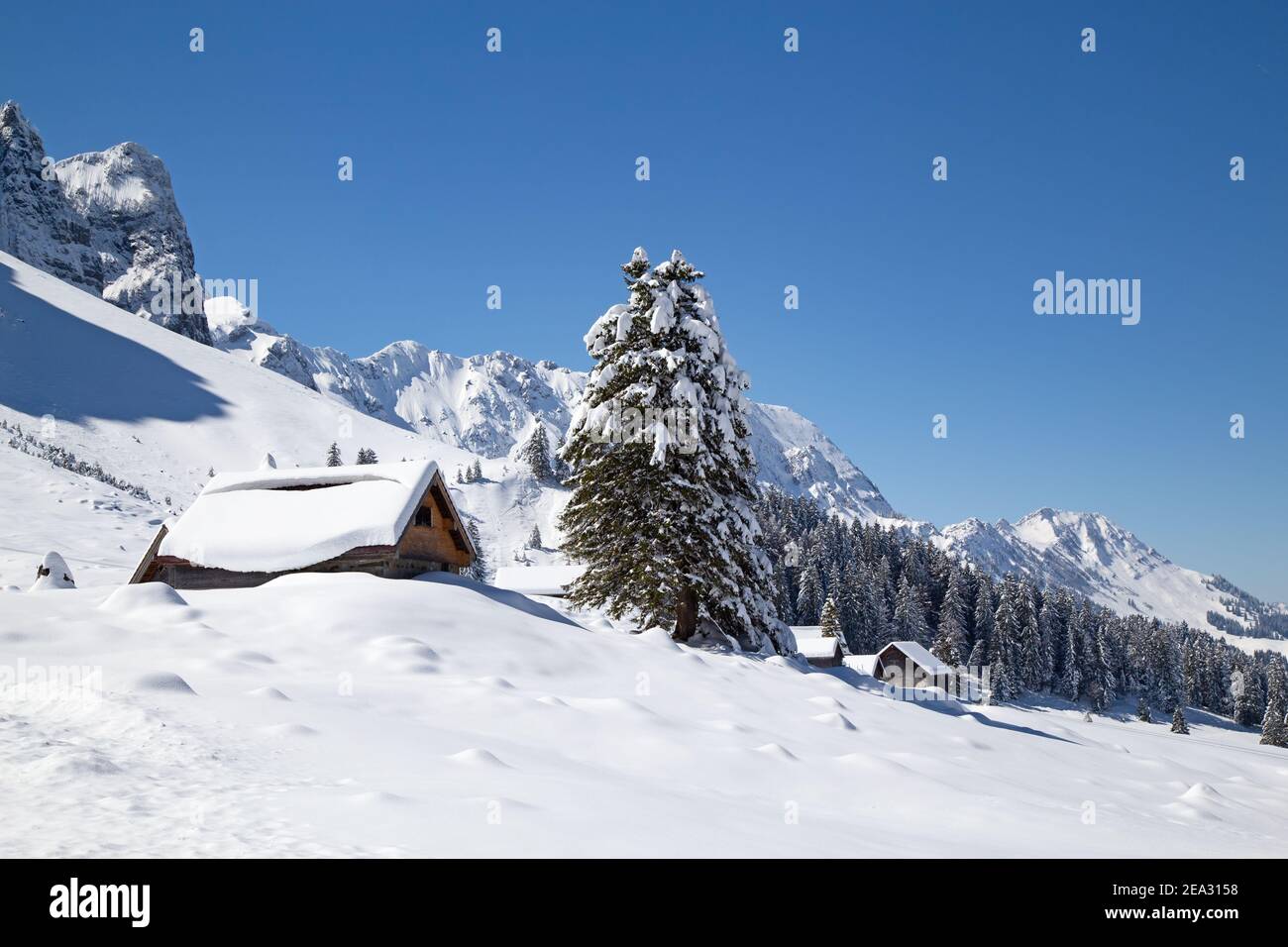 Winter in the swiss alps near mount Santis, Switzerland Stock Photo - Alamy