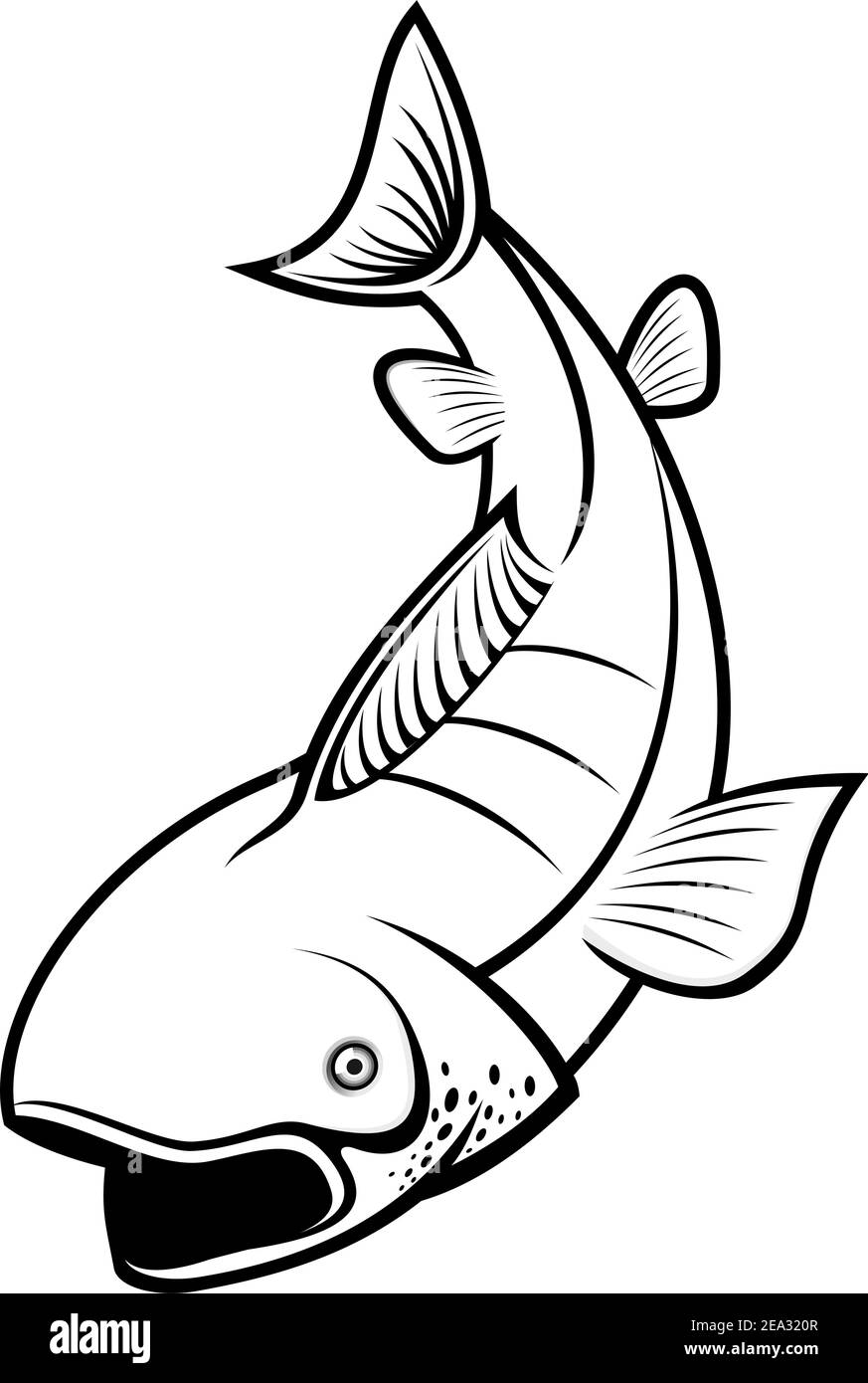 Fishing carp reel close Cut Out Stock Images & Pictures - Alamy