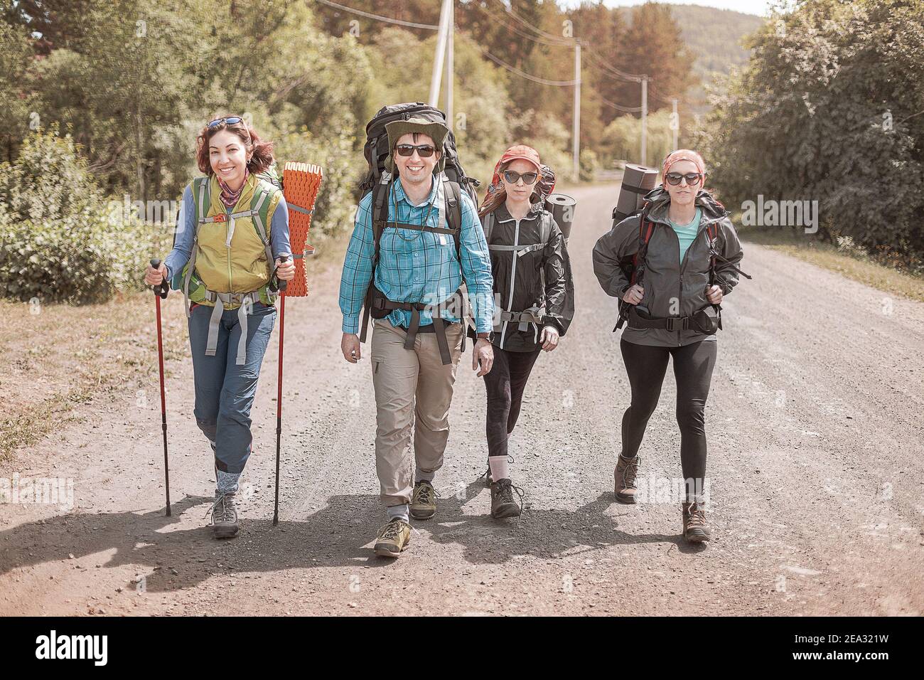 Four cheerful friends are traveling on a Hiking route in a natural Park ...