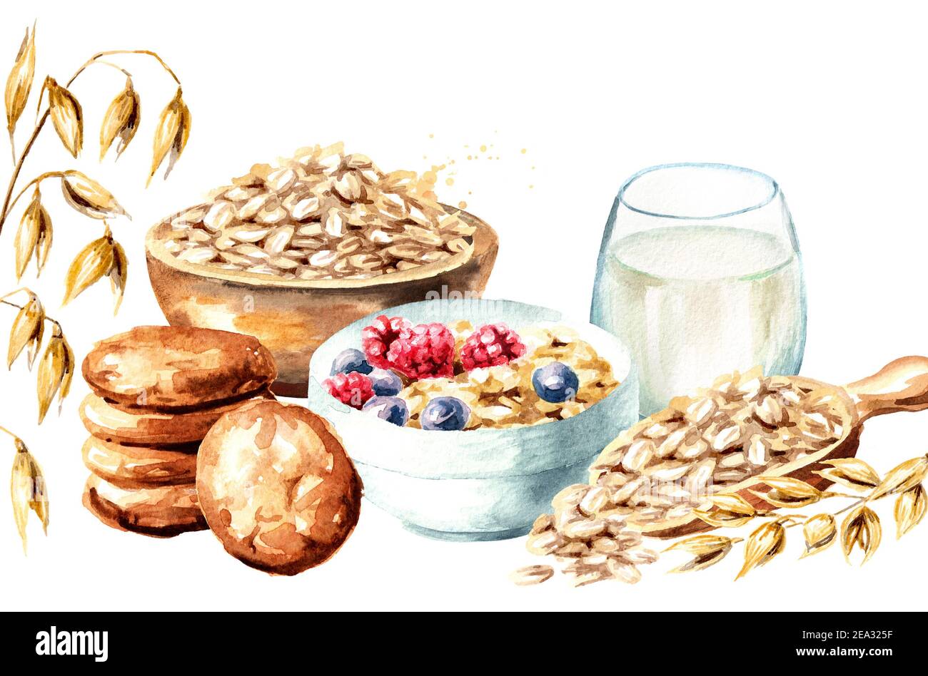 Oats card. Watercolor hand drawn illustration isolated on white ...