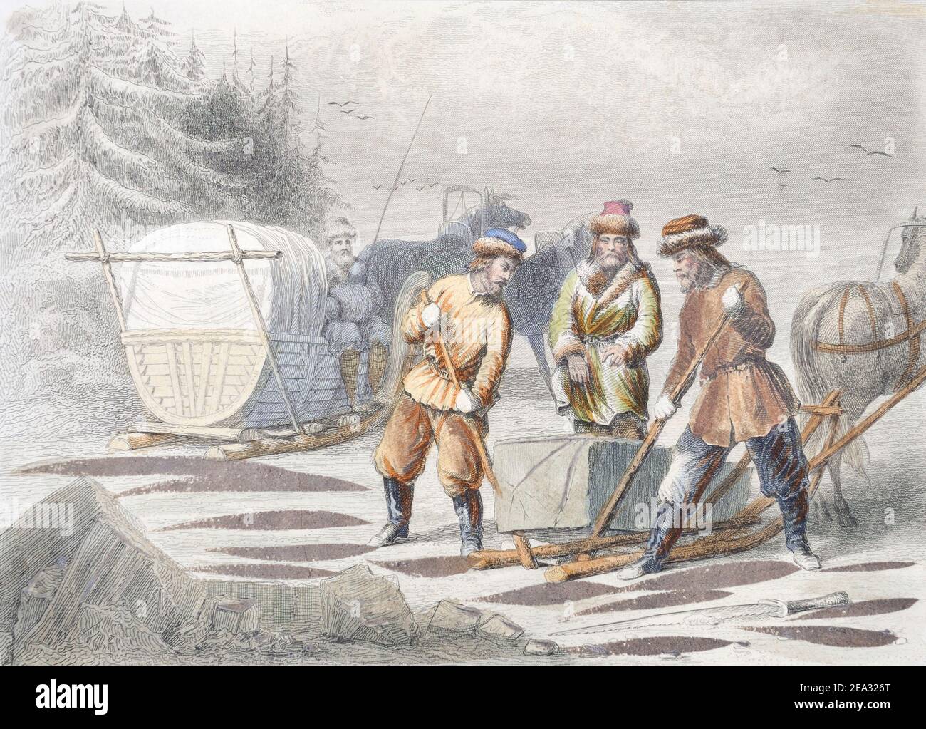 Meat industries hi-res stock photography and images - Alamy