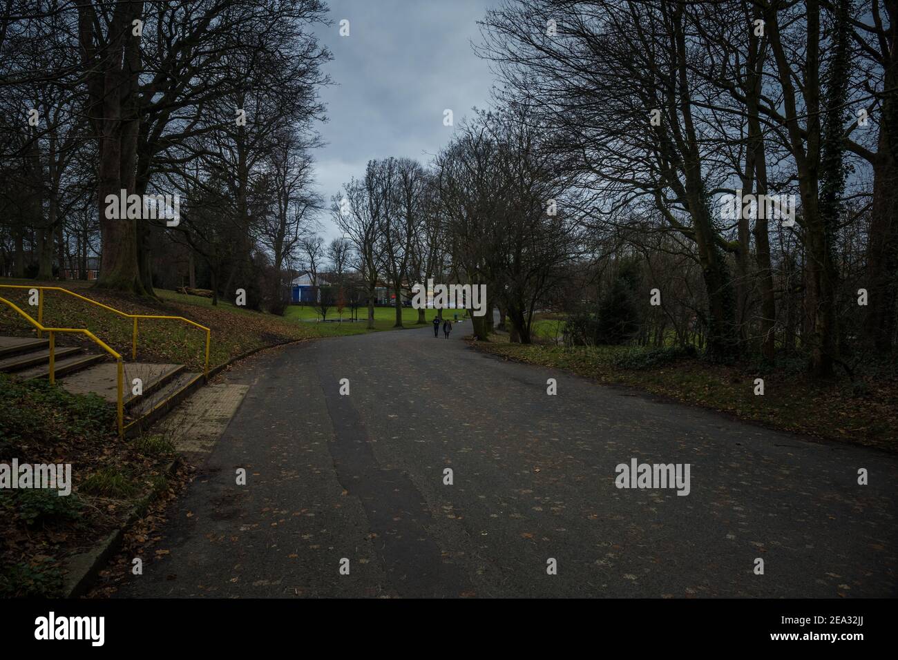 Dark forest ireland hi-res stock photography and images - Alamy