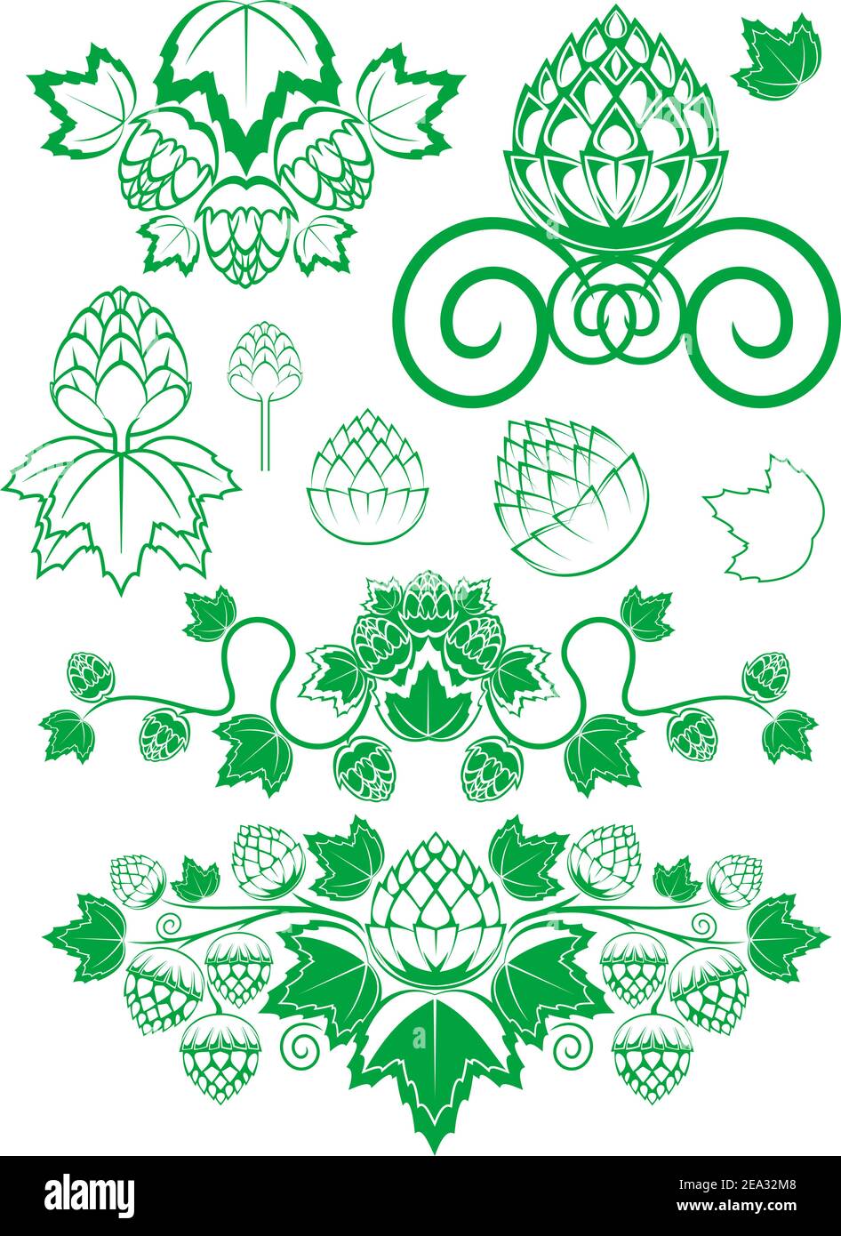 Malt and hop leaves isolated on white in floral style Stock Vector ...