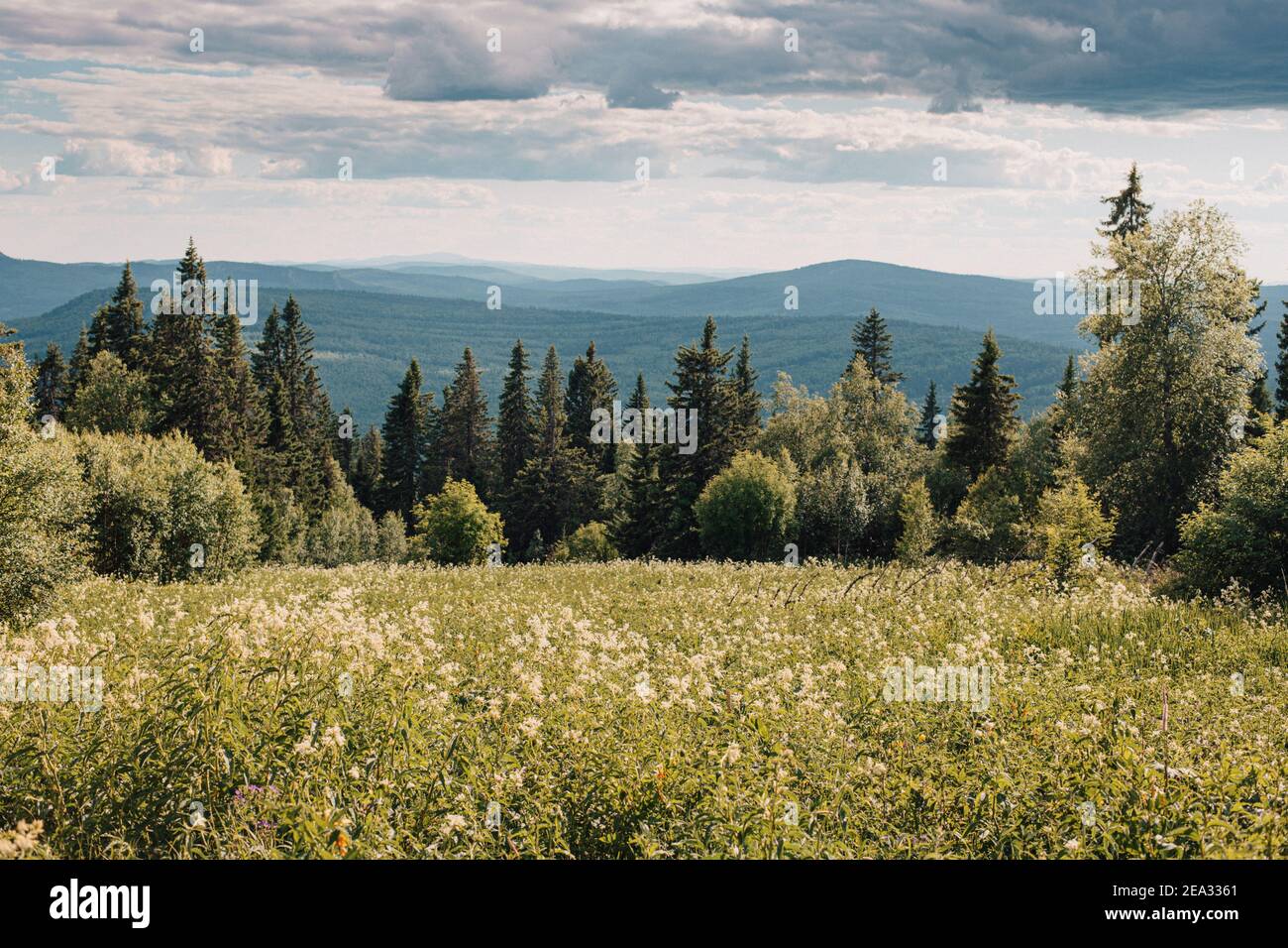 Wild national Park in the middle of Russia, in the Urals. View of ...