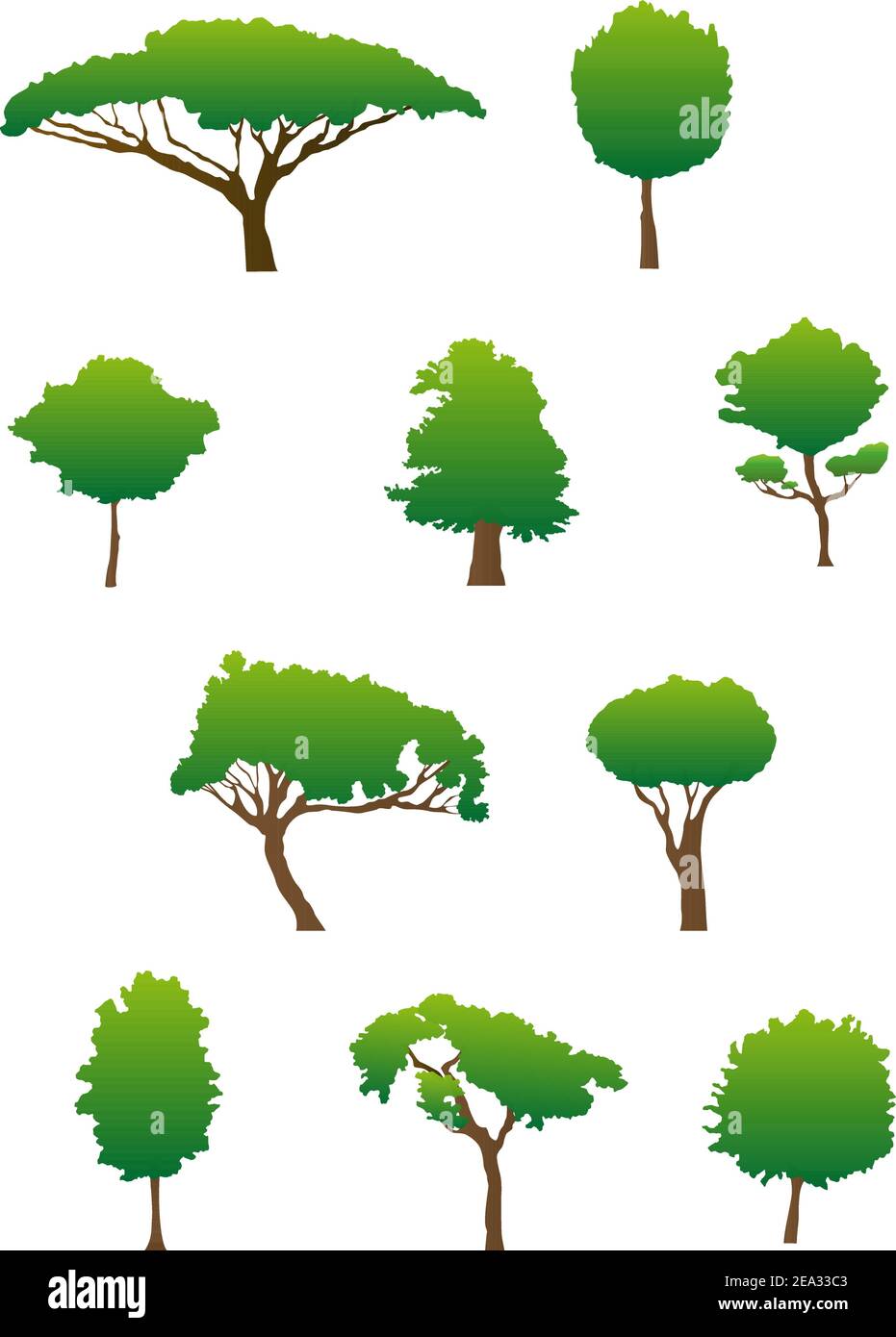 Set of green tree silhouettes for ecology design Stock Vector Image ...