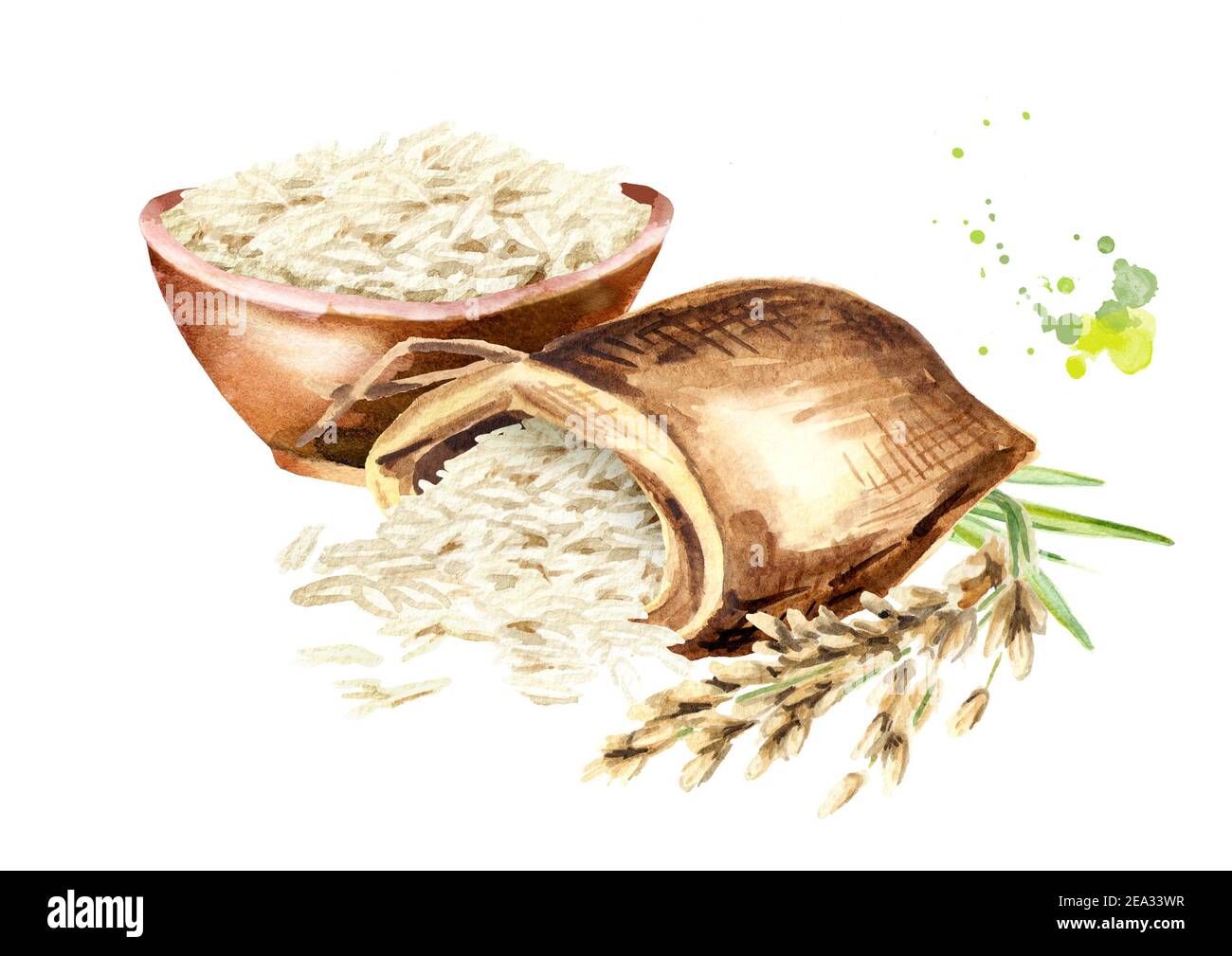 White rice composition. Watercolor hand drawn illustration, isolated on ...