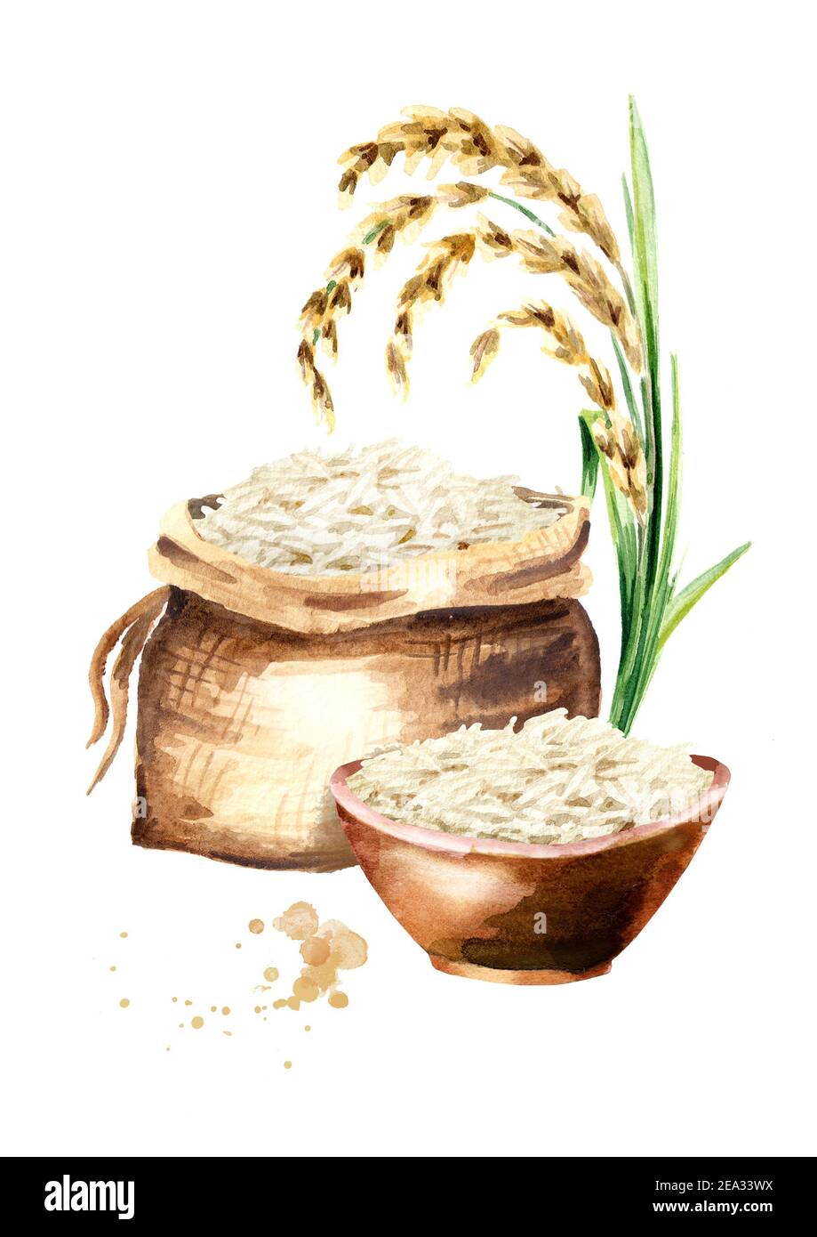 White rice vertical composition. Watercolor hand drawn illustration ...