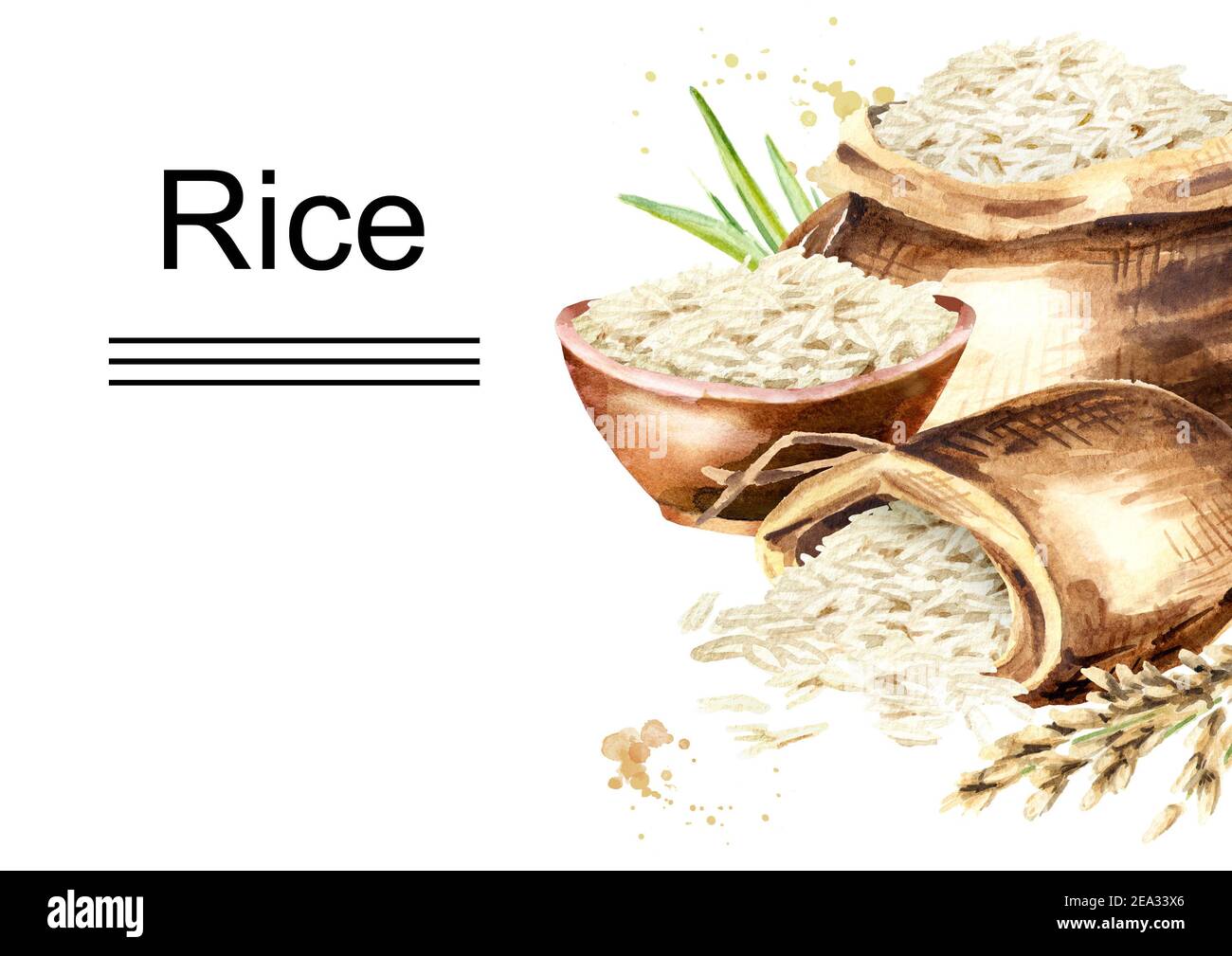 White Rice horizontal template. Watercolor hand drawn illustration ...