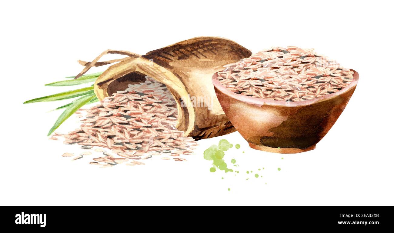 Wild rice in the bag and in the bowl. Watercolor hand drawn ...
