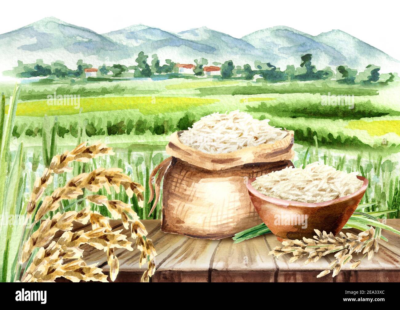Rice composition in landscape with field. Watercolor hand drawn ...