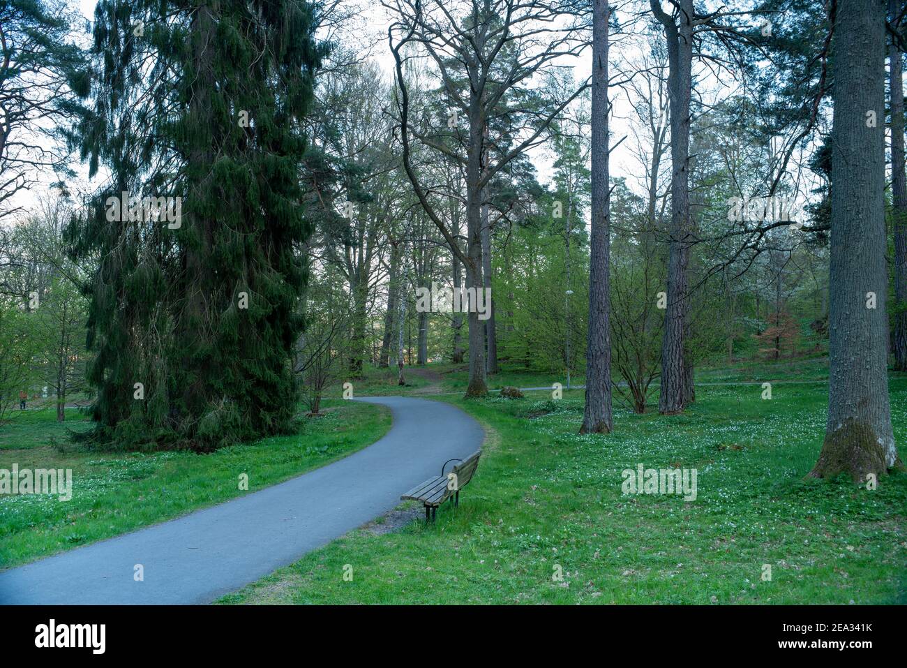 Jonkoping City Park in Jonkoping municipality Sweden Stock Photo - Alamy
