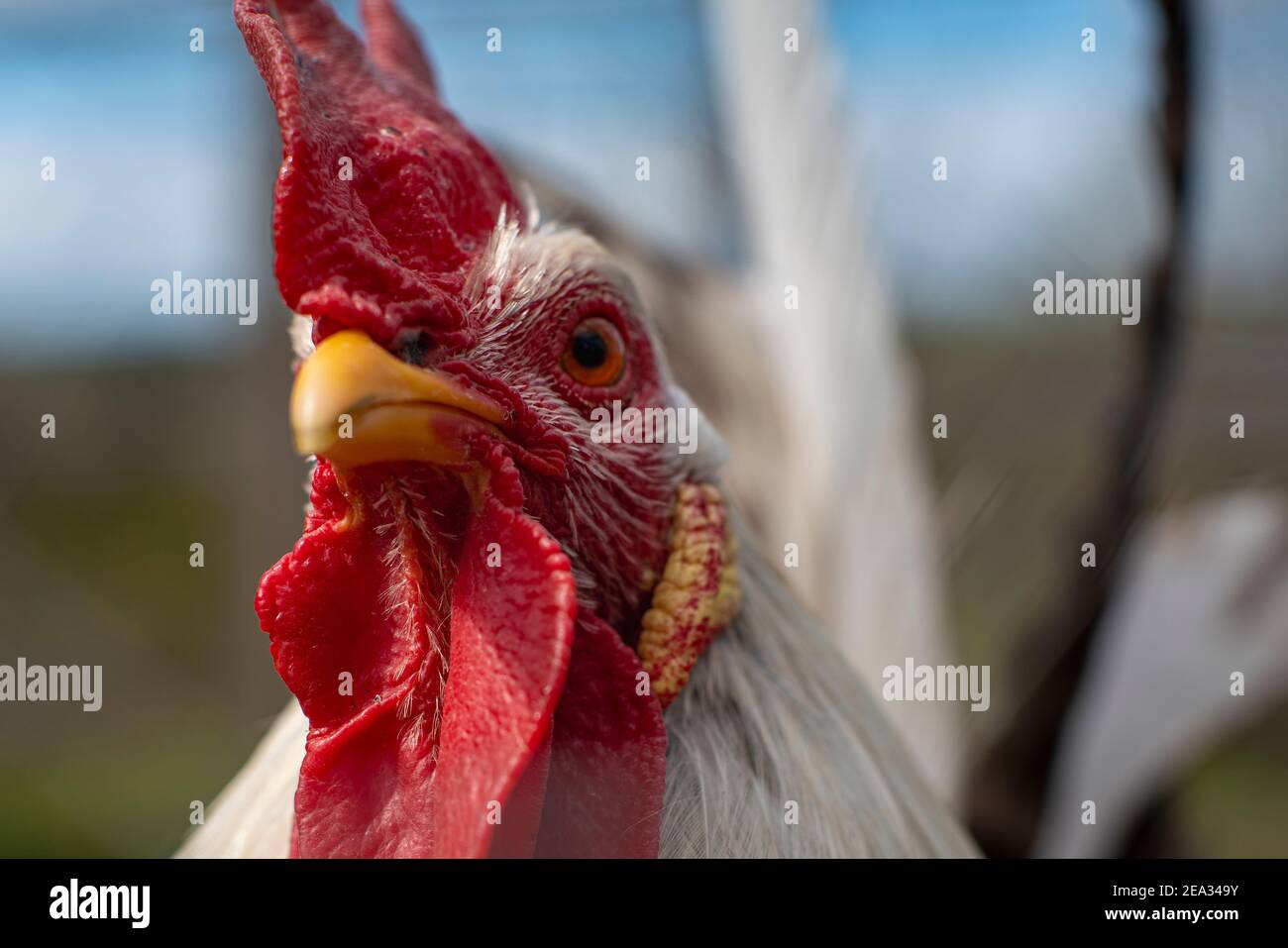 High attitude photo hi-res stock photography and images - Alamy