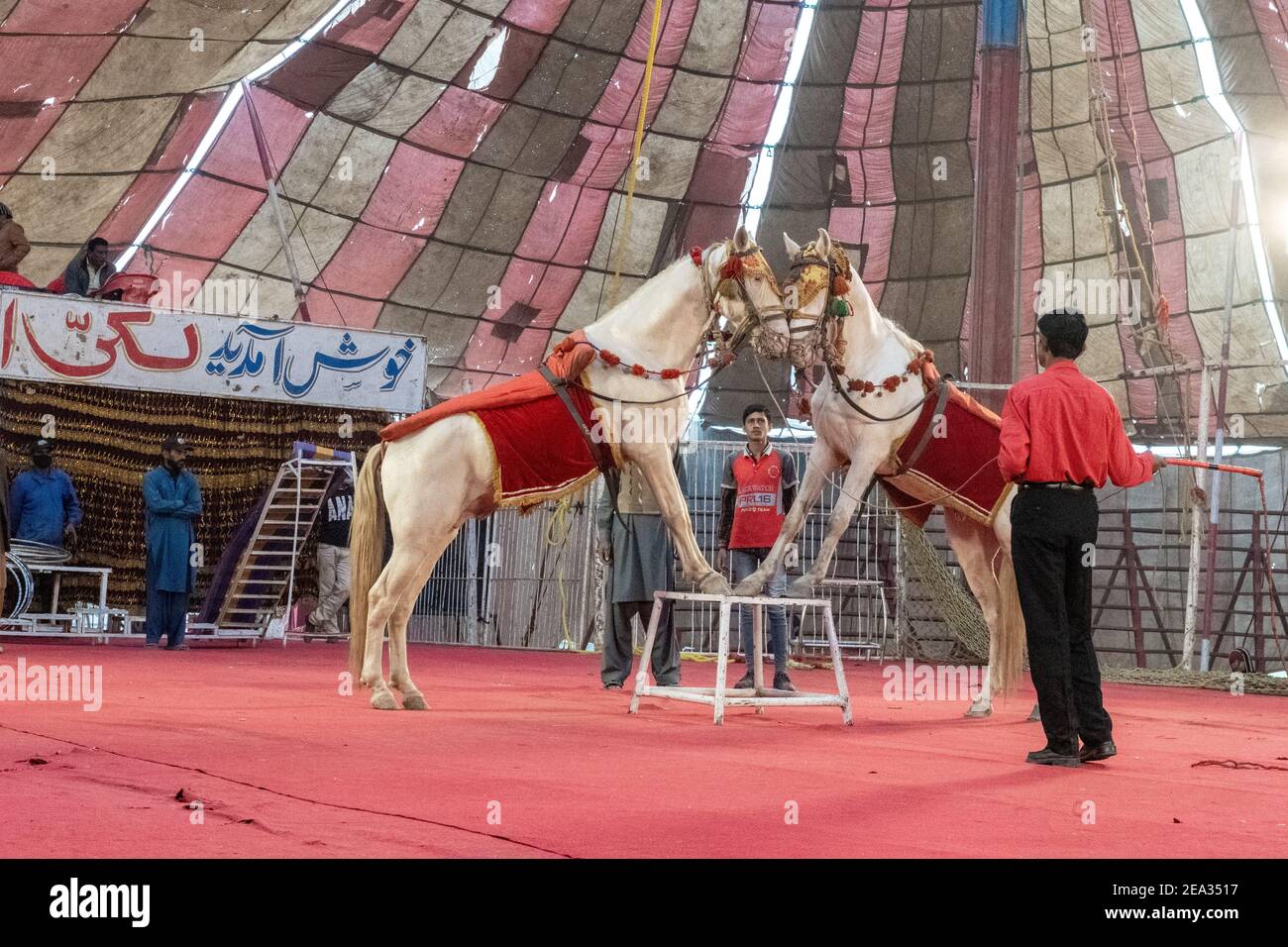 Lucky Irani Circus performing in Nankana Sahib, Punjab, Pakistan Stock ...
