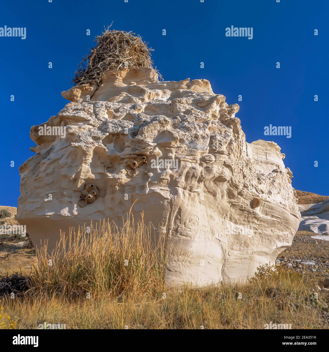 hawk nest on top of an eroded outcrop of volcanic ash and pumice near ...