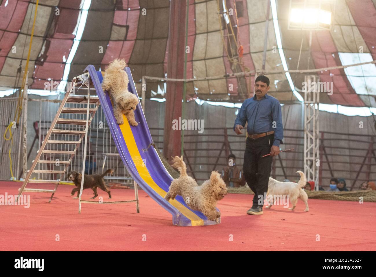Lucky Irani Circus performing in Nankana Sahib, Punjab, Pakistan Stock ...