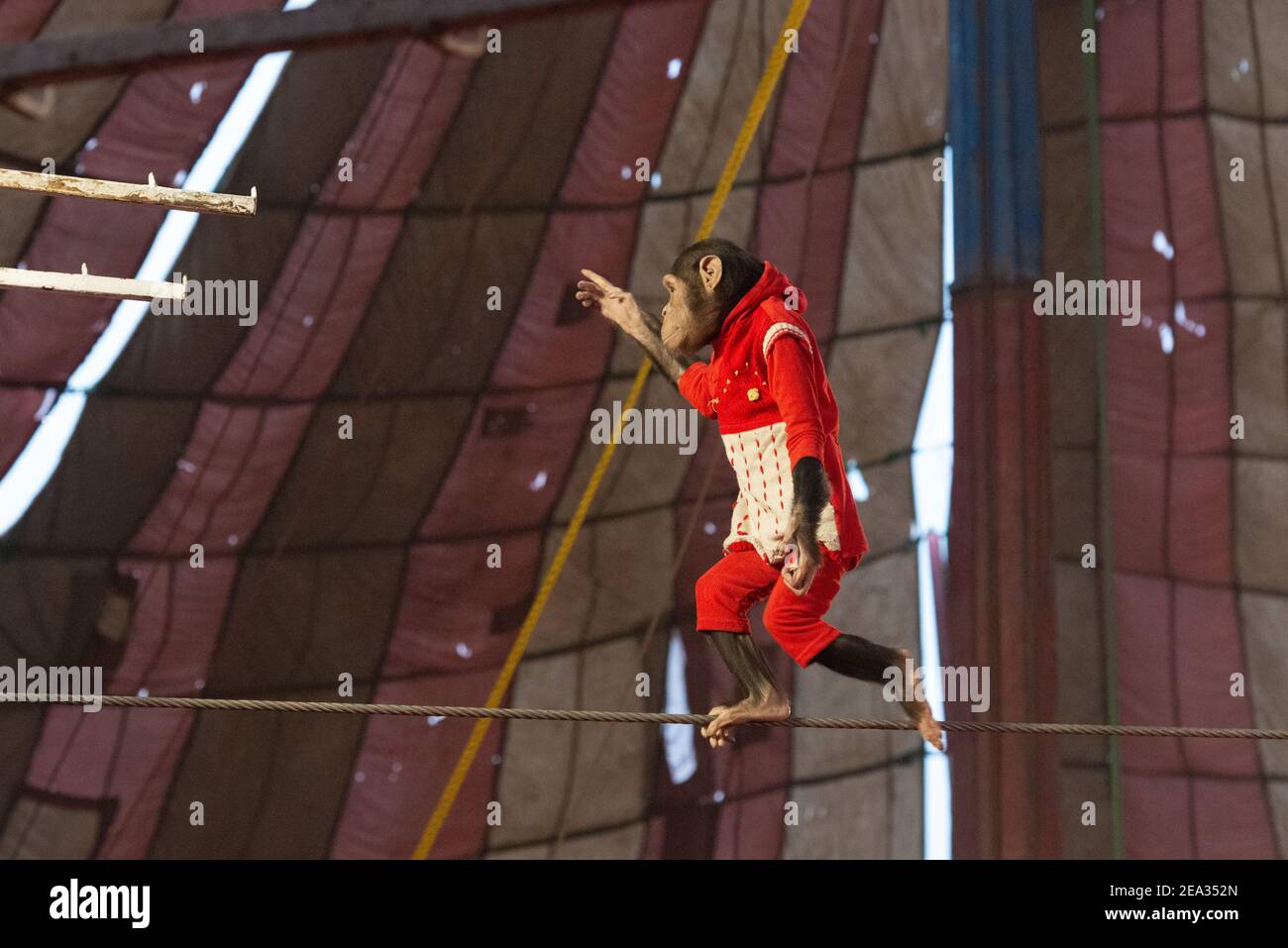 Lucky Irani Circus performing in Nankana Sahib, Punjab, Pakistan Stock ...