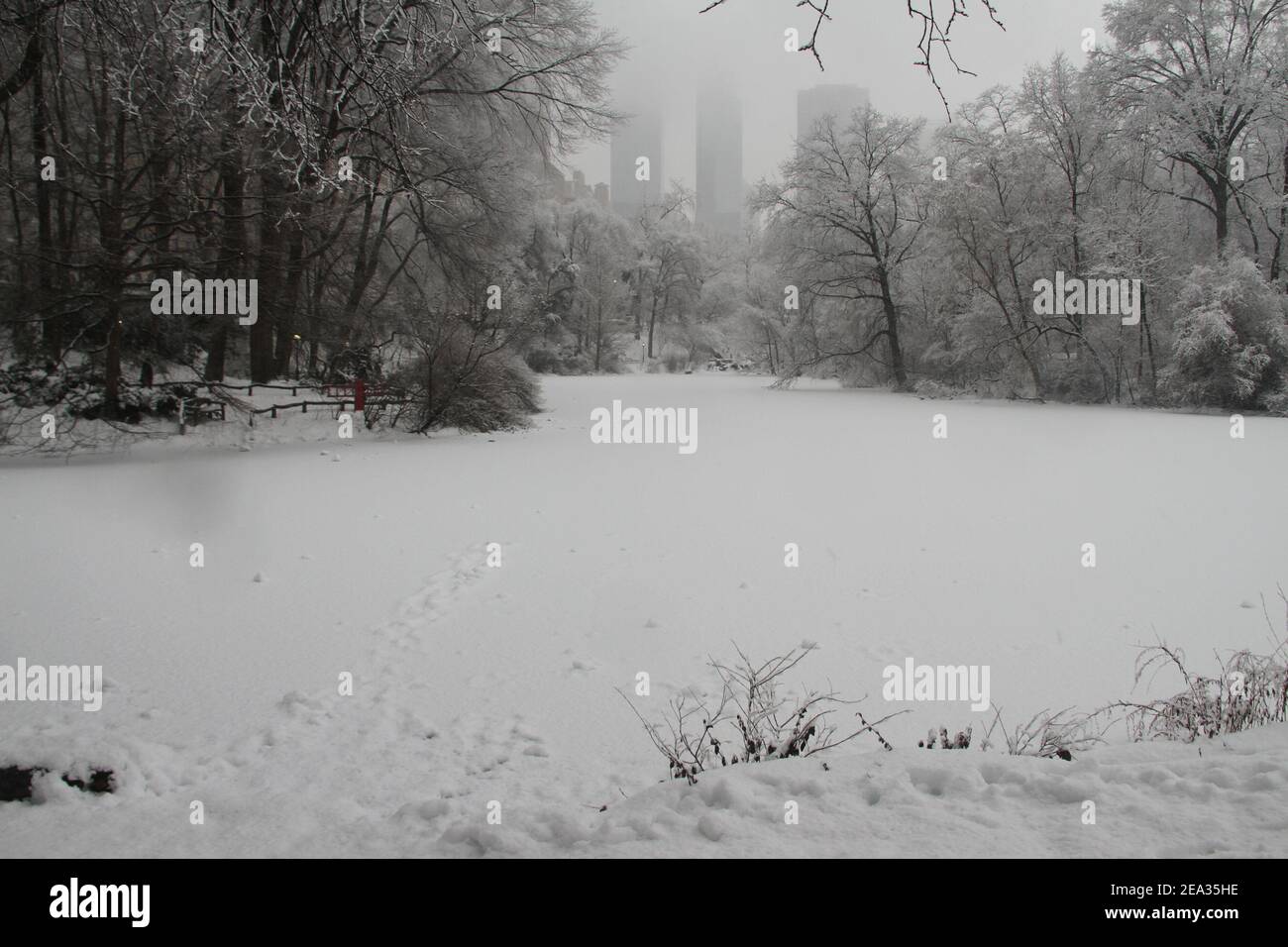 New York, USA. 7th Feb, 2021. (NEW) New York hit with another Snowfall ...