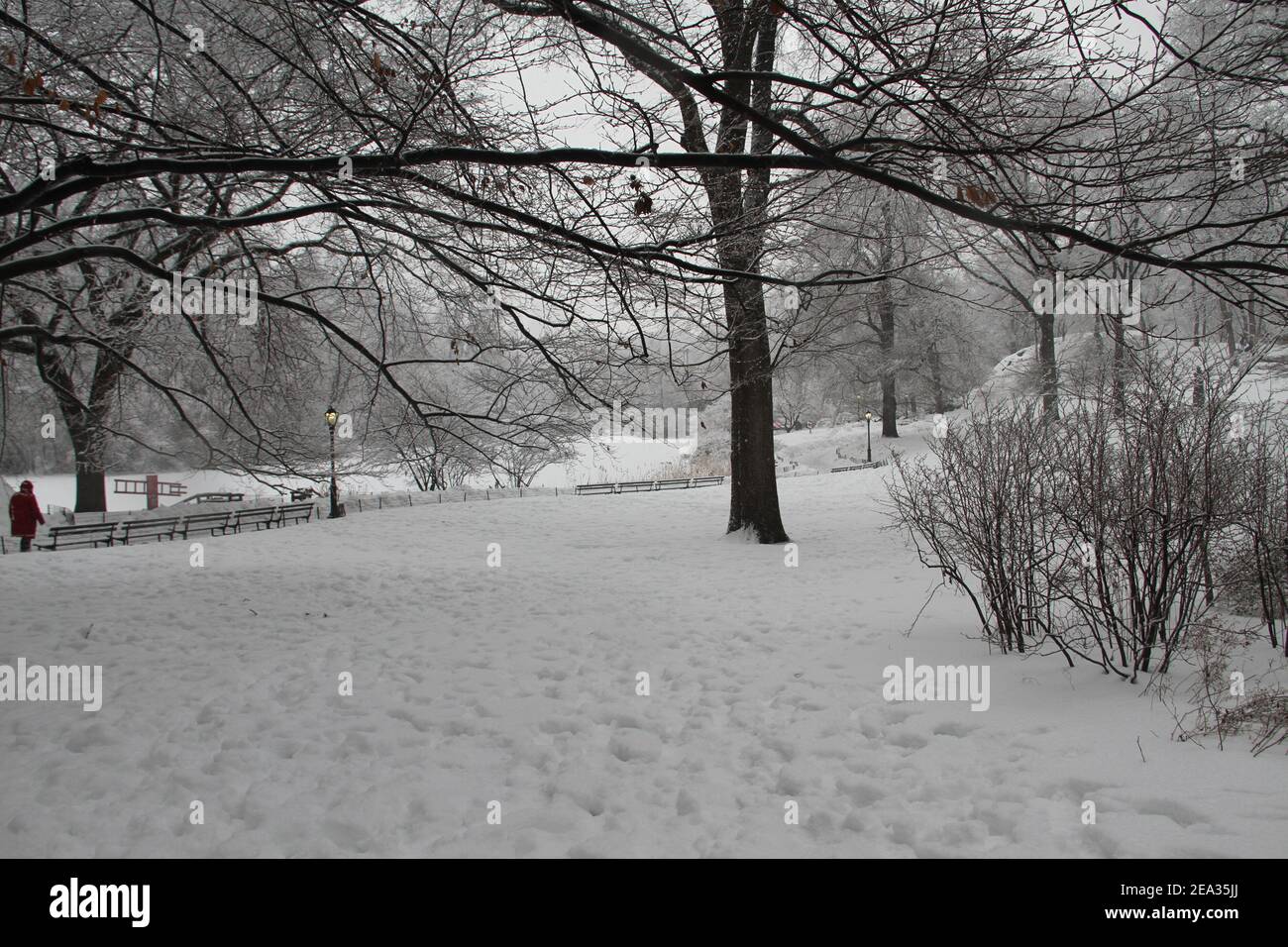 New York, USA. 7th Feb, 2021. (NEW) New York hit with another Snowfall ...