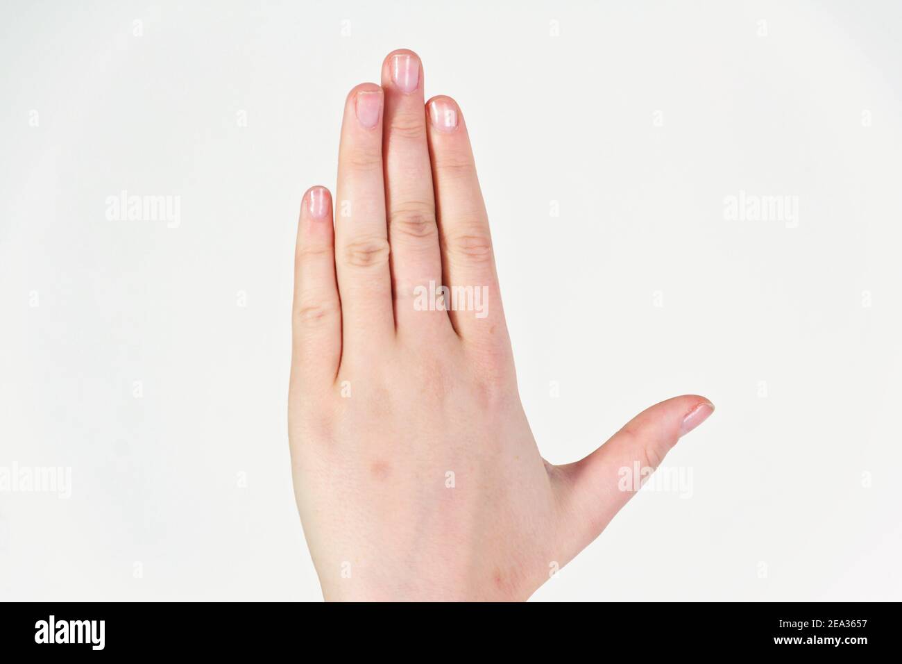 Female left hand close up isolated on white background Stock Photo - Alamy