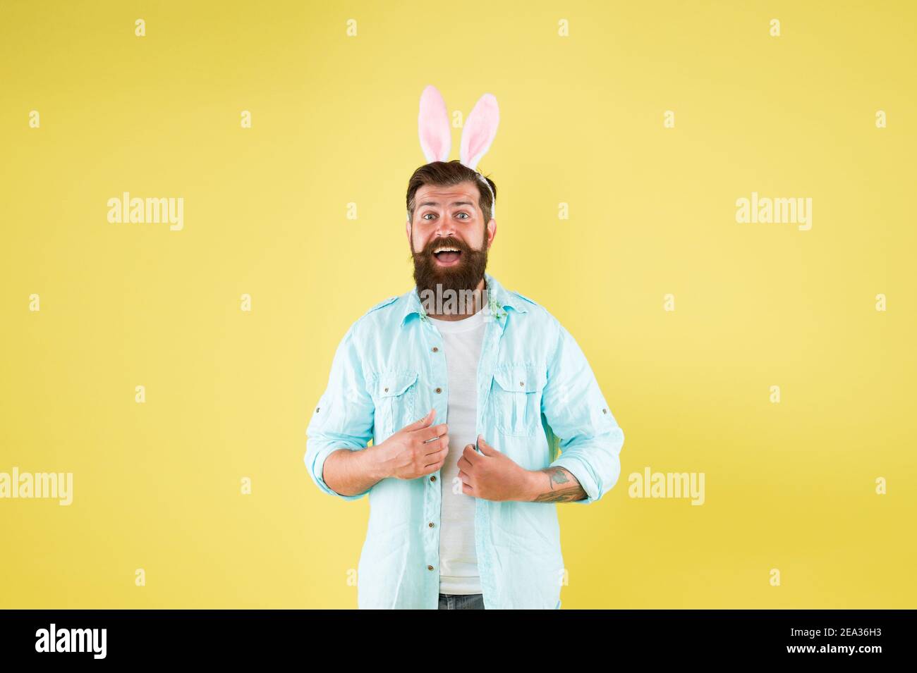 Always wear rabbit ears. Happy bunny rabbit yellow background. Bearded ...