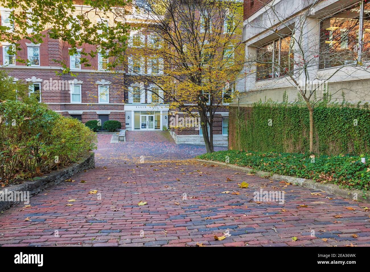 Ellis literature hi-res stock photography and images - Alamy