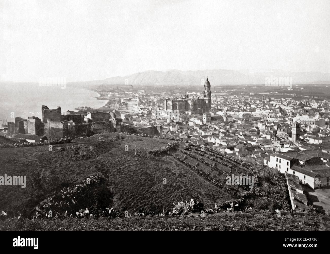 Late 19th century photograph - Malaga, Spain, c. 1890 Stock Photo - Alamy