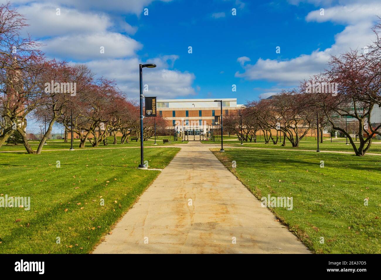 ROCHESTER, MI, USA - NOVEMBER 11: Kresge Library on November 11, 2020 ...