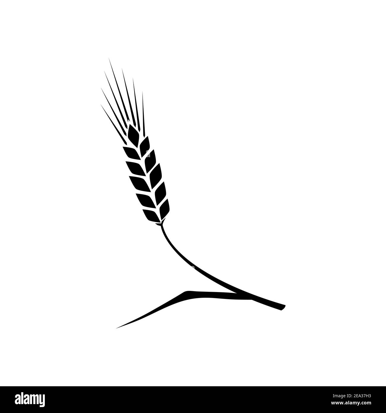 Wheat spikelets line icon. Wheat farm symbol. Liner style. Vector ...