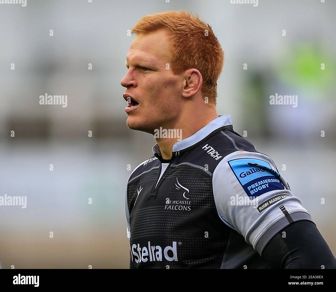 Philip van der walt hi-res stock photography and images - Alamy