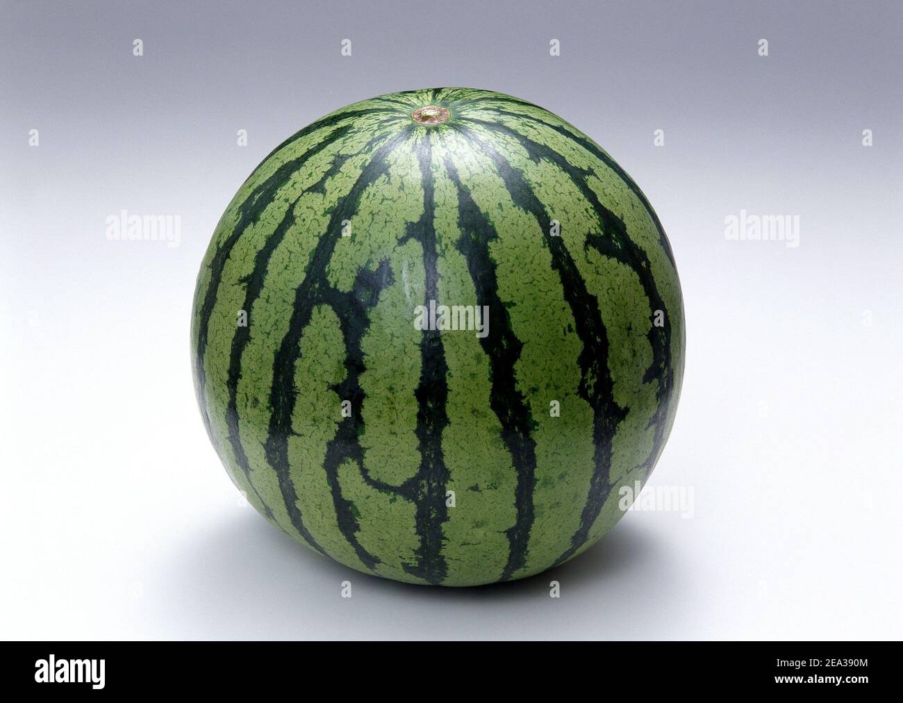 Watermelon isolated on the white background Stock Photo - Alamy