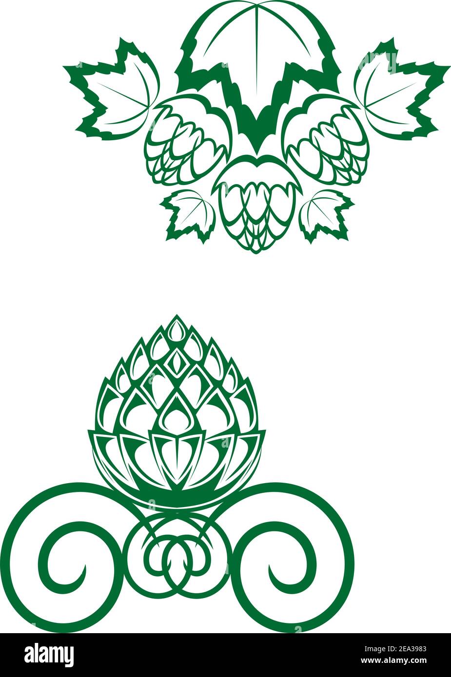 Malt and hop leaves isolated on white in floral style Stock Vector ...