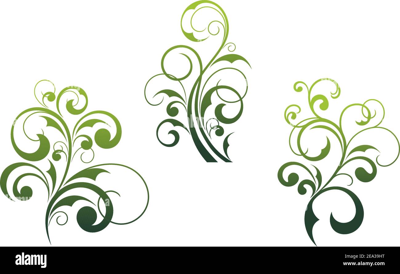 Set of beautiful floral elements and motifs isolated on white Stock ...