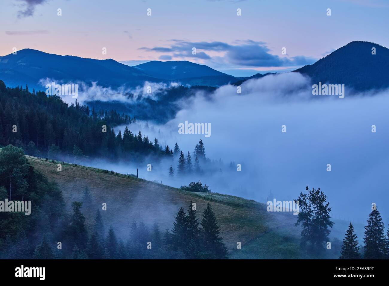 Landscape with fog in mountains and rows of trees Stock Photo - Alamy