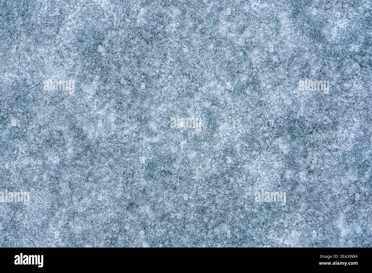 beautiful abstract natural gray background, concept for design Stock ...