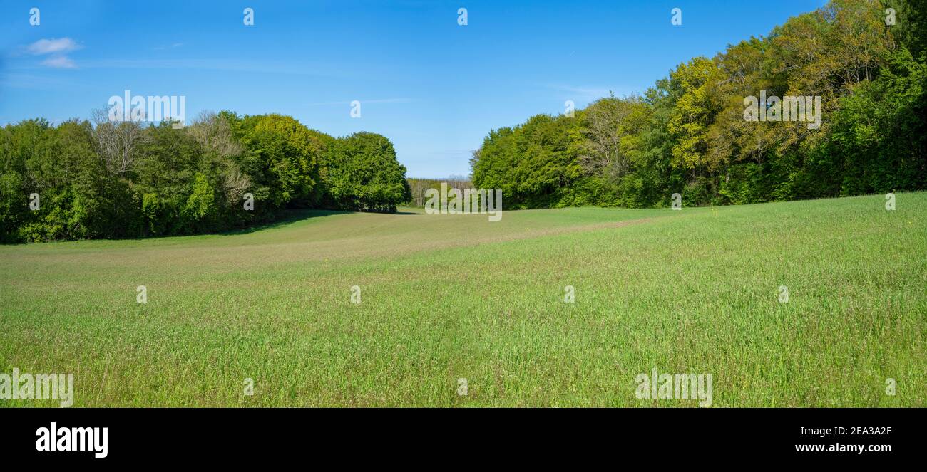 Rolling Hills, Fields and Woodlands in Swedish Idyllic Countryside ...
