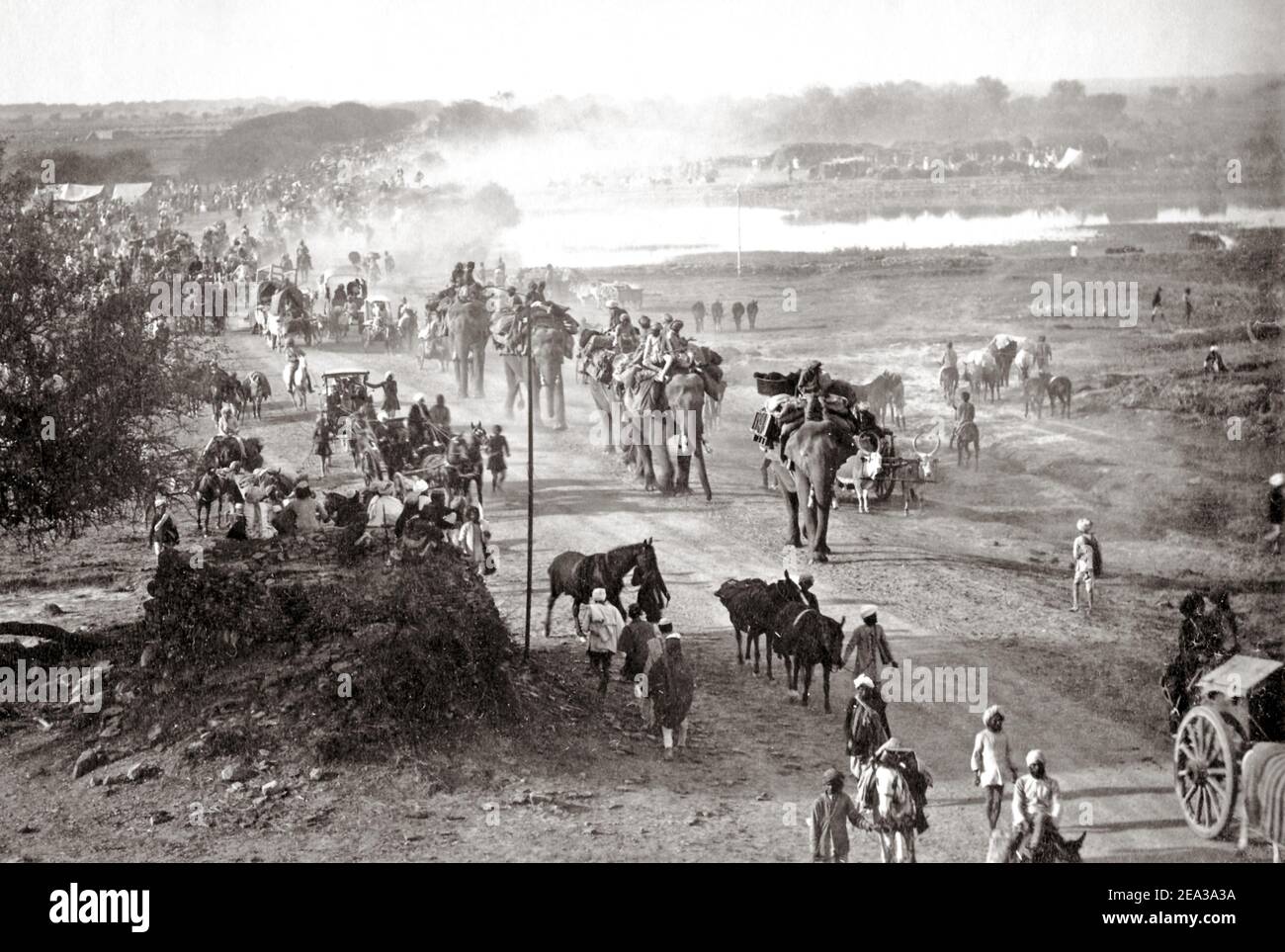Late 19th century photograph - British army train with elephants near ...