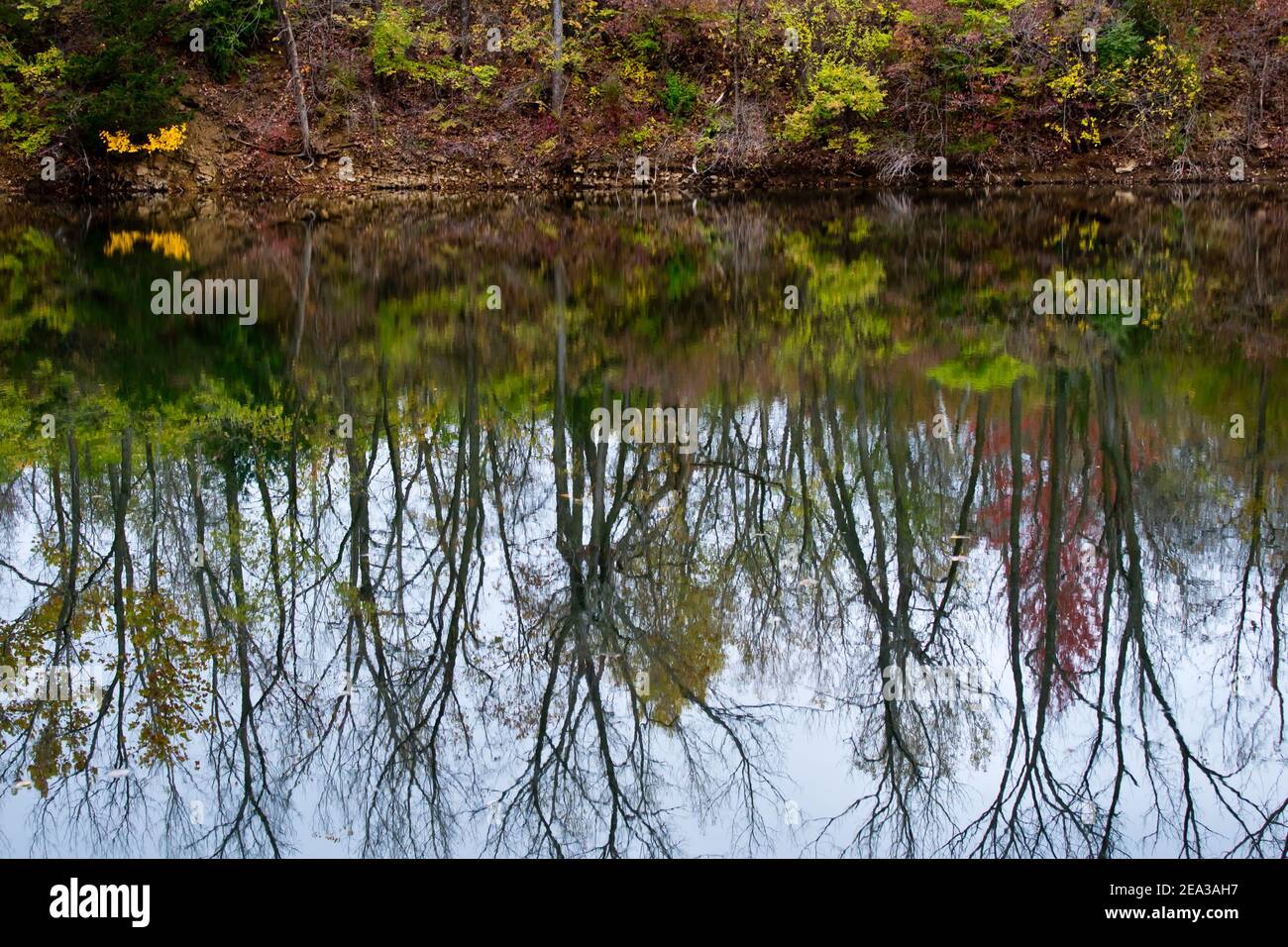 Autumn forest reflections in water hi-res stock photography and images ...