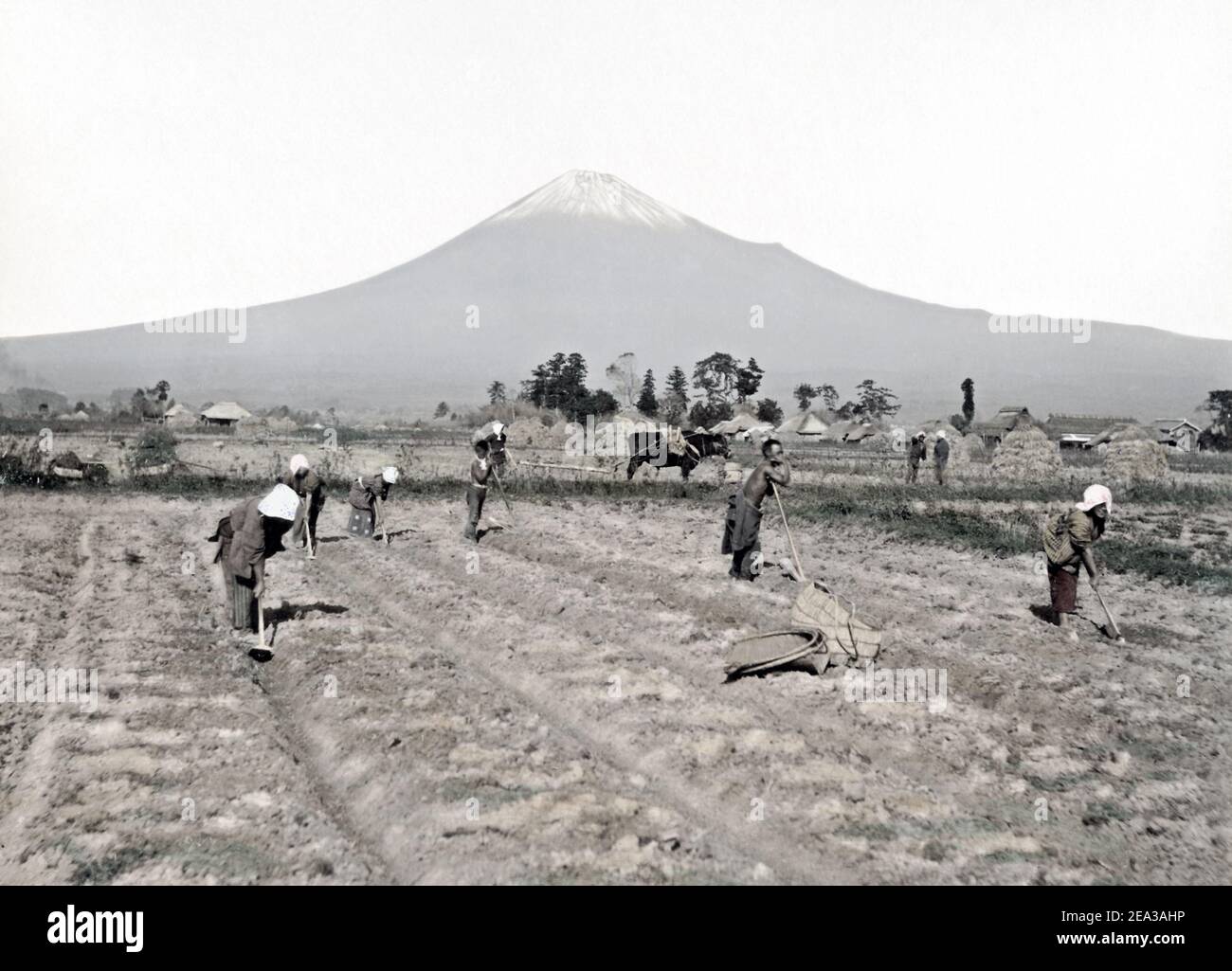 Late 19th century photograph - Farmers at the foot of Mount Fuji, Japan ...