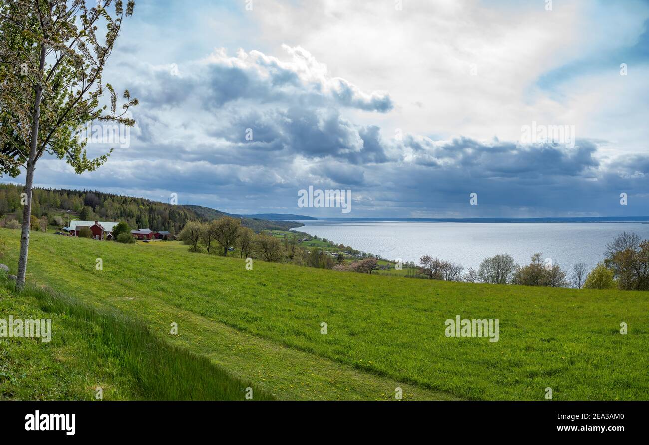 Beautiful scenic nordic swedish scandinavian landscape countryside hi ...