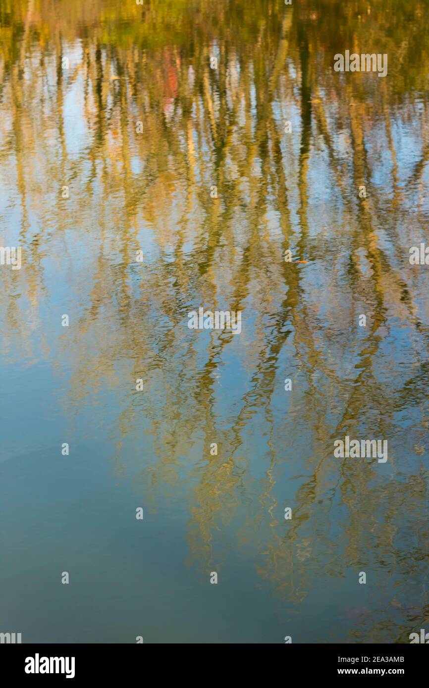 Reflections of tree in water hi-res stock photography and images - Alamy