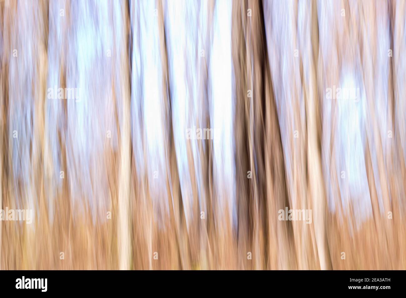 Abstract tree landscape Stock Photo - Alamy