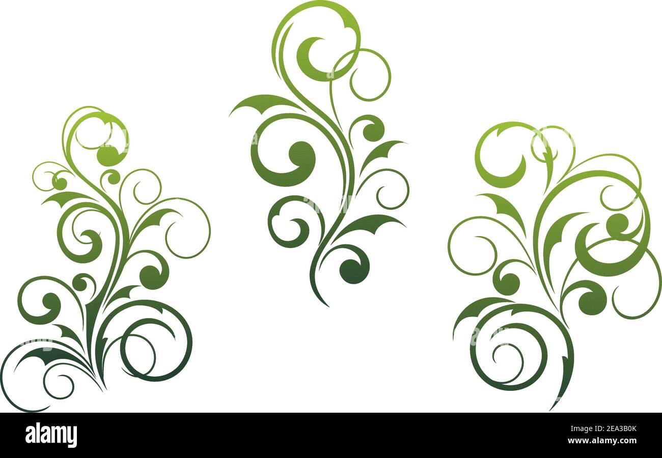 Set of beautiful floral elements and motifs isolated on white Stock ...