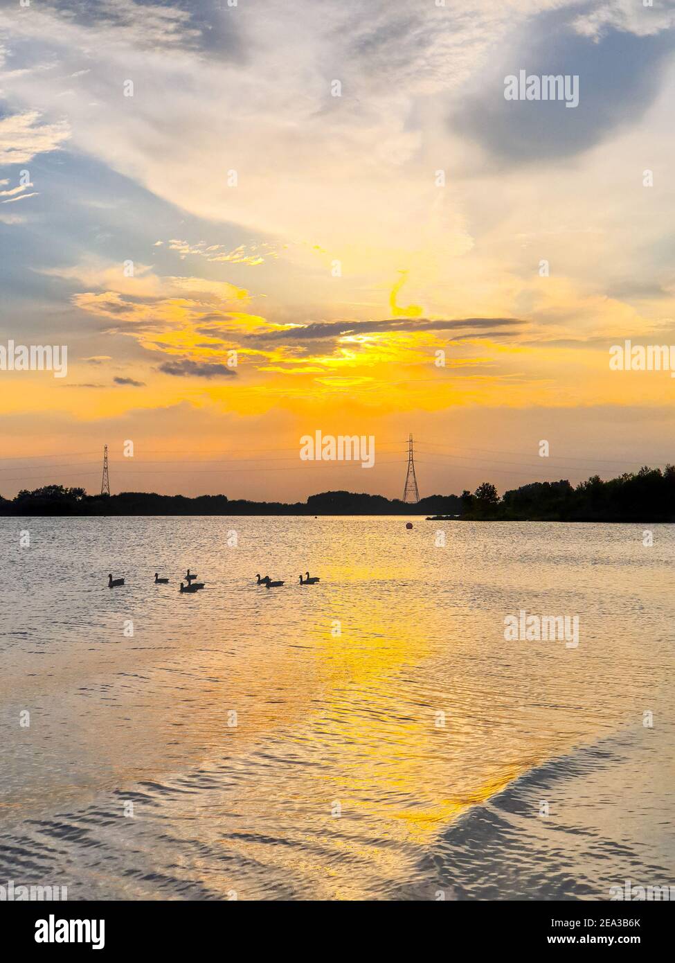 Chasewater country park hi-res stock photography and images - Alamy