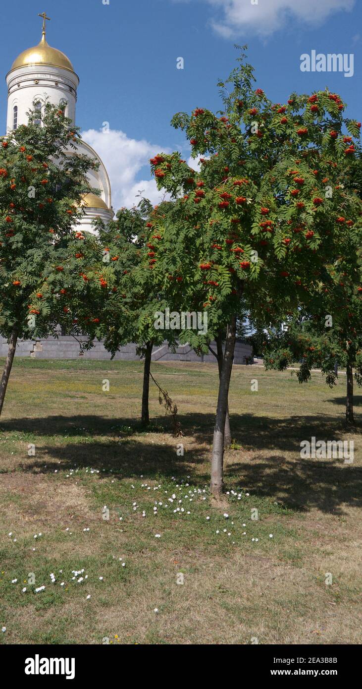 church and asberry Stock Photo - Alamy