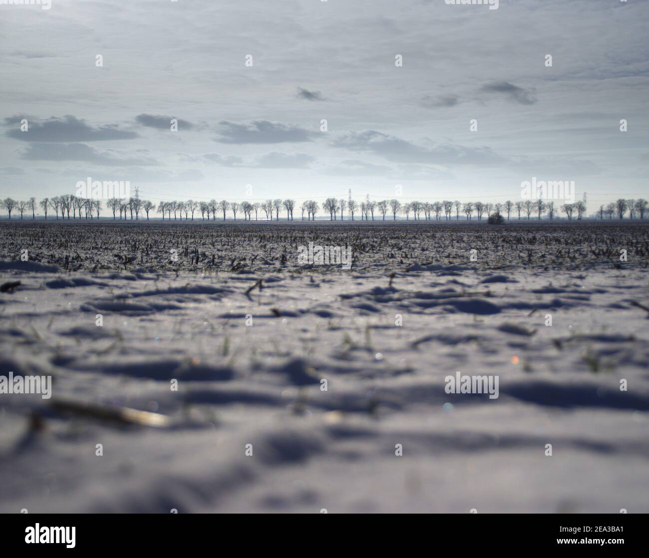 Cold field silhouette hi-res stock photography and images - Alamy